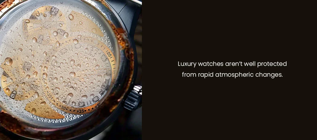7 Watch Movement Mistakes to Avoid | Luxury Watch Care Tips